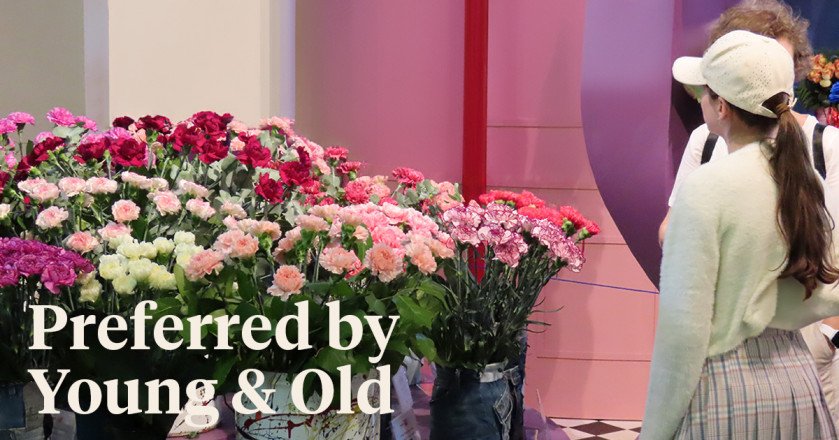 "Carnation Is the Flower That Never Bores"