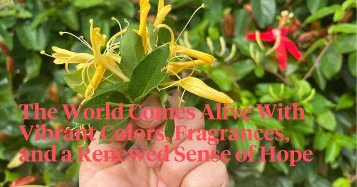 June Birth Flowers: Celebrating the Beauty of Roses and Honeysuckle