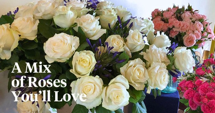 De Ruiter's New Rose Varieties Showcased at IFTEX