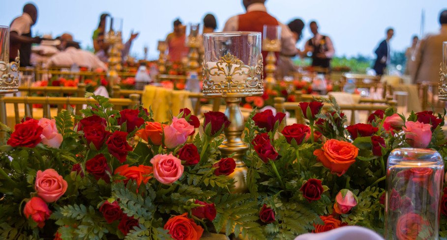 Rosebud Ltd - Grower featured on Thursd