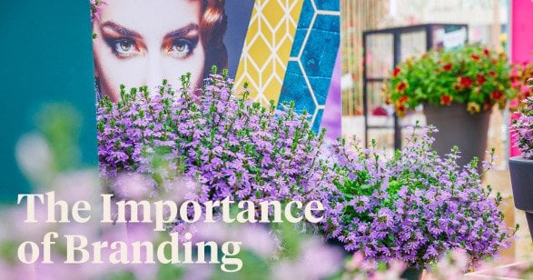 How to Build and Protect Your Brand in Floriculture?