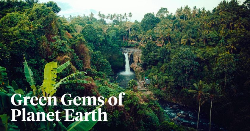 World Rainforest Day Celebrates Forest Sustainability