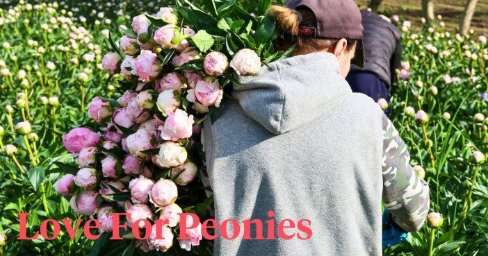 10 Questions With Florist Petr Anokhin on Peonies