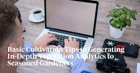 Types of Plant Software Used in Horticulture Today