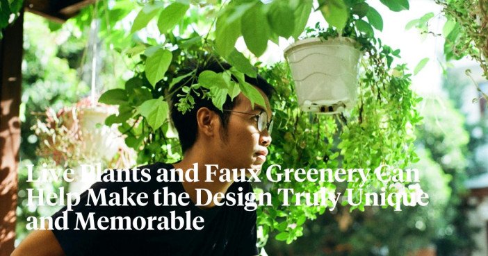 Use Plants as Living Décor to Elevate Interior Design