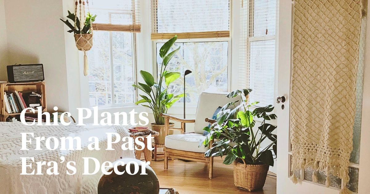 10 Retro Houseplants That Fit a 1960s Home Look