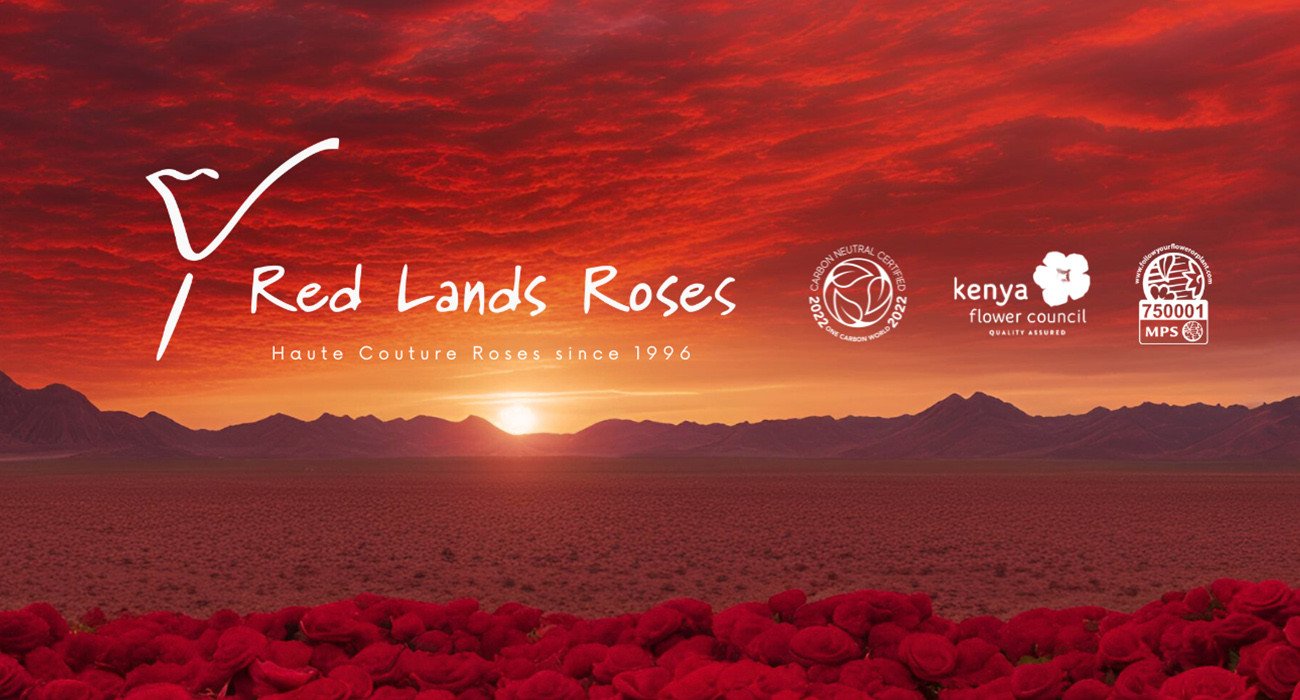 Red Lands Roses