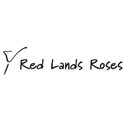 Red Lands Roses - Grower on Thursd