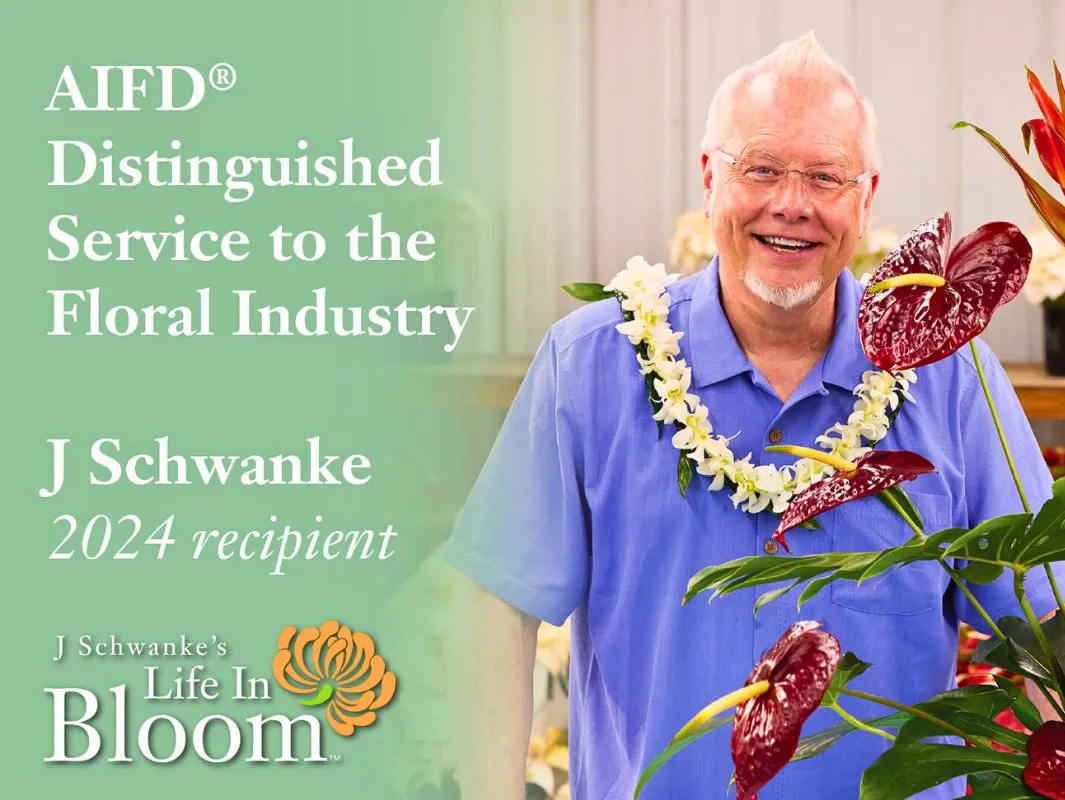 J Schwanke Wins AIFD Distinguished Service Award 2024