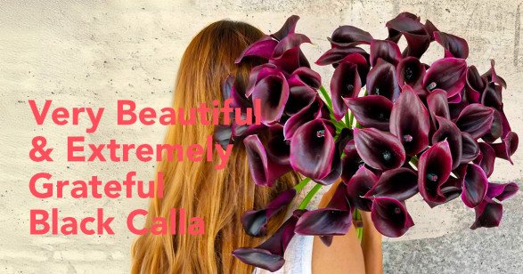 Calla Cantor Sings a Sultry Song of Elegance