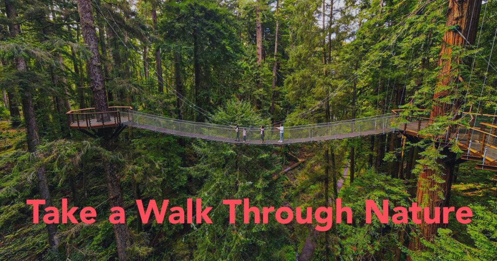 10 of the Most Beautiful Elevated Walkways Through Nature