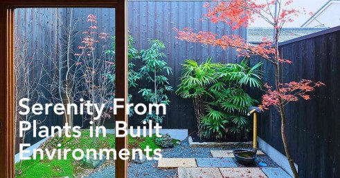 Tsubo Niwa, Small Pockets of Nature Added to Architecture