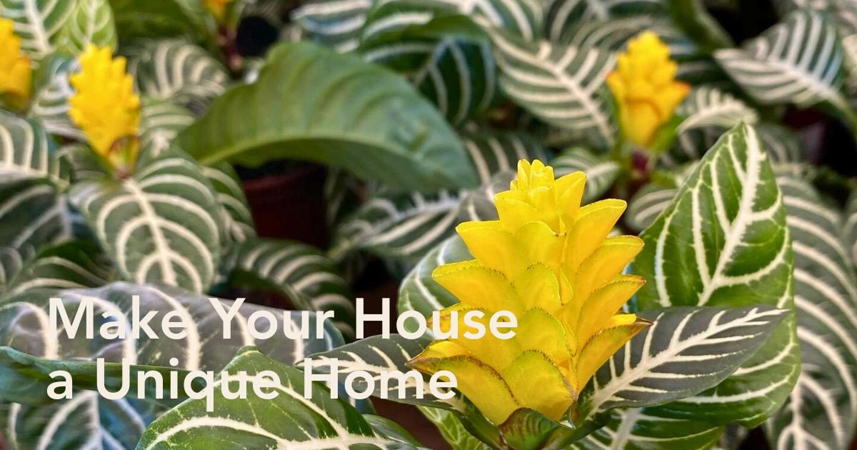 A Complete Guide to Growing and Caring for Your Zebra Plant