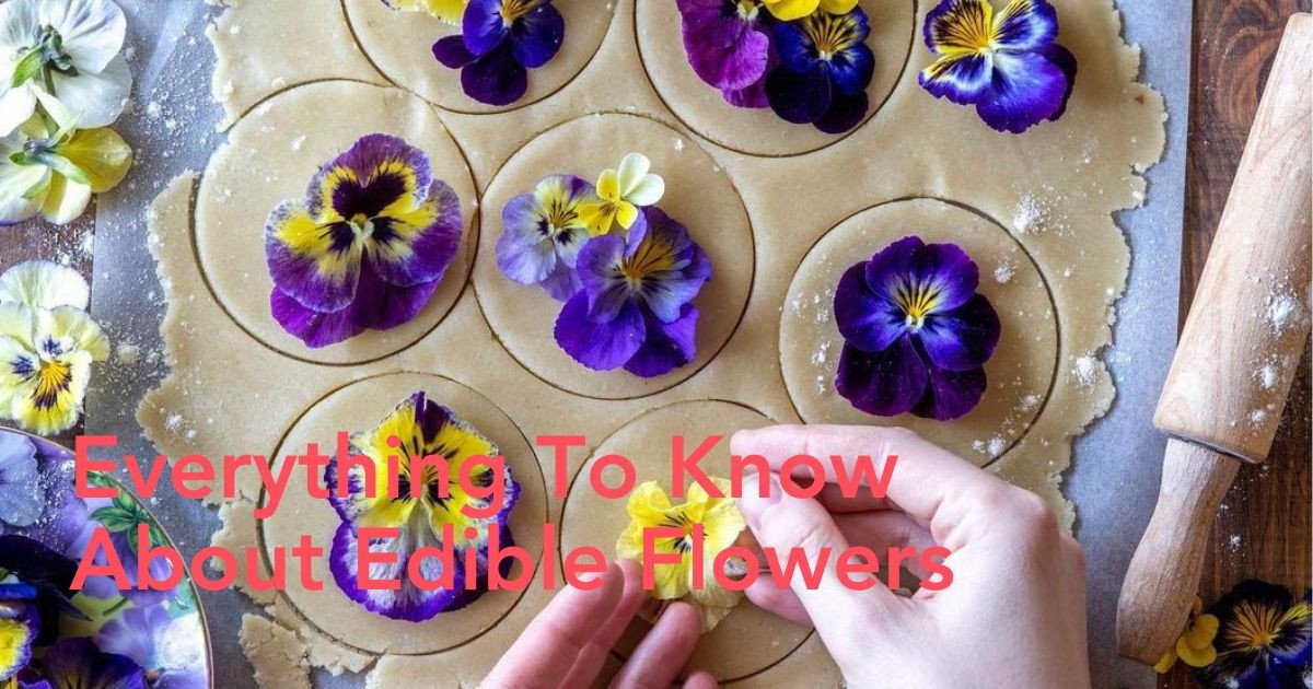 15 Best Edible Flowers for Baking, Cooking and Drinks