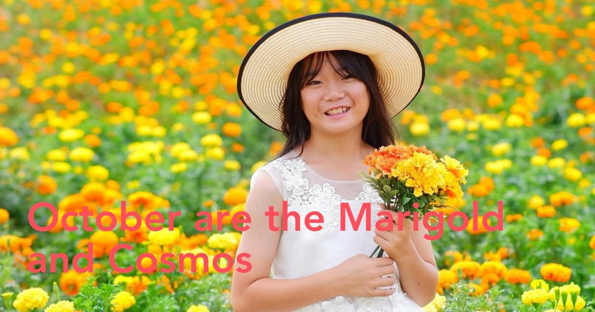 What Are The October Birth Flowers?