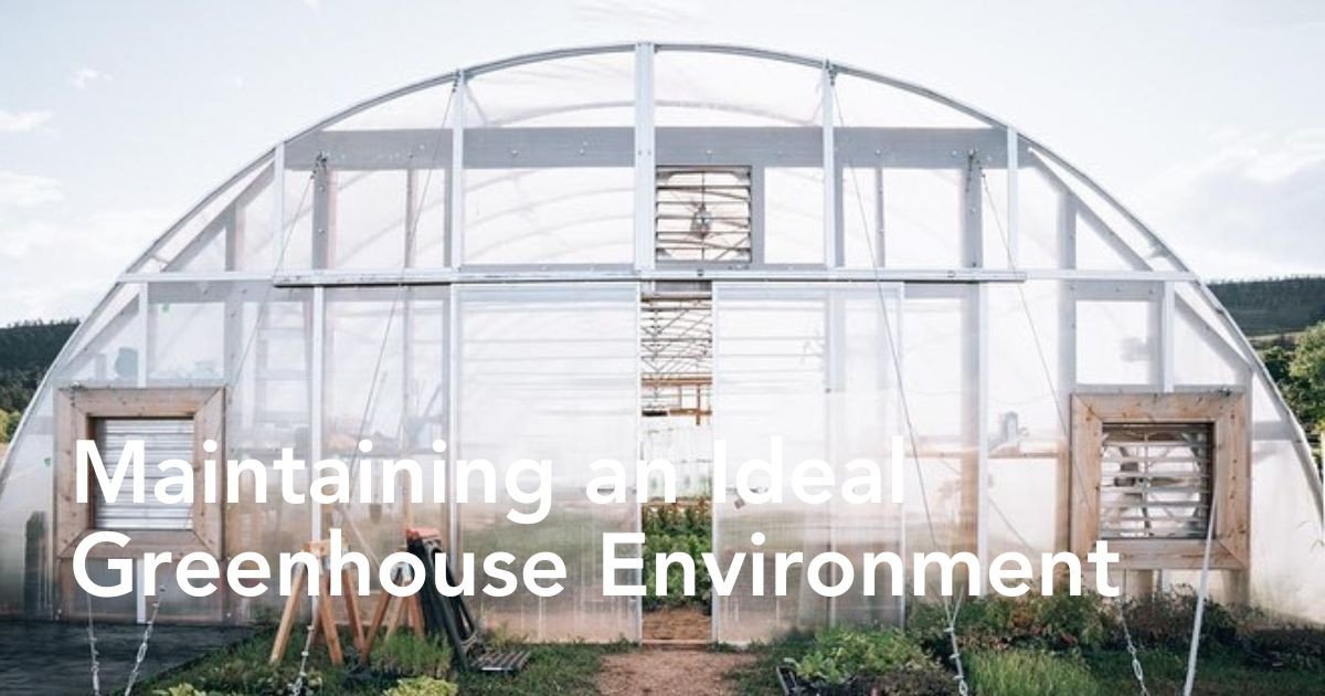 Guide to Efficient Heating and Cooling in Greenhouses