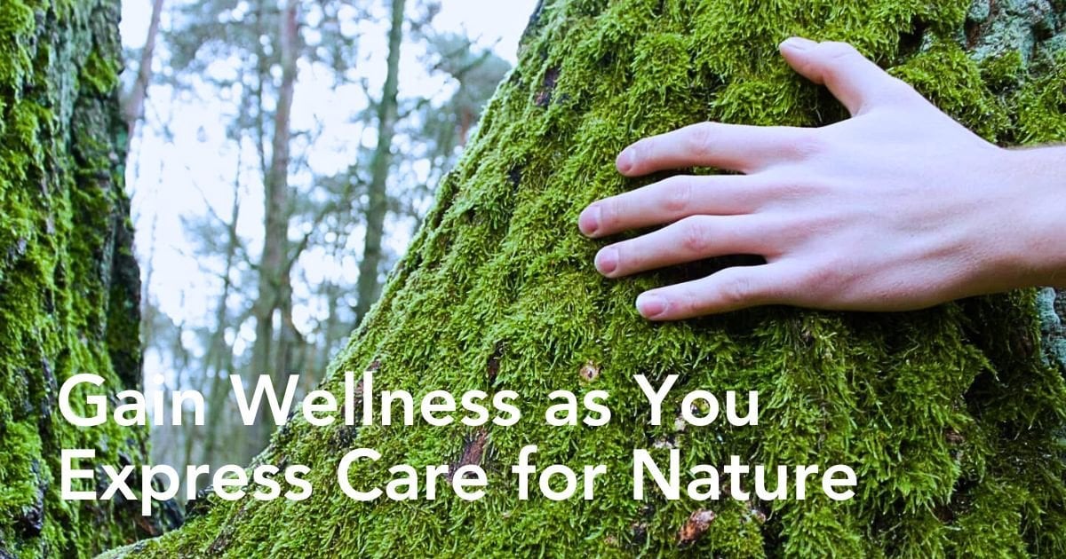 Hug a Tree for Your Well-Being and Environmental Mindfulness