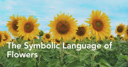 6 Ways to Share Your Feelings Using Flower Language