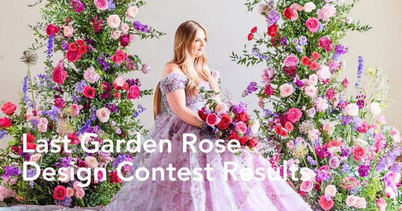 Alexandra Farms Unveils 2024 Garden Rose Winners