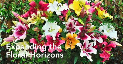 Zabo Plant USA Brings Dutch Floral Expertise to North America