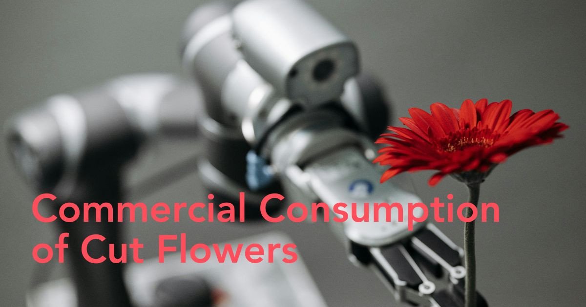 How AI And Robotics Are Changing Floriculture Today
