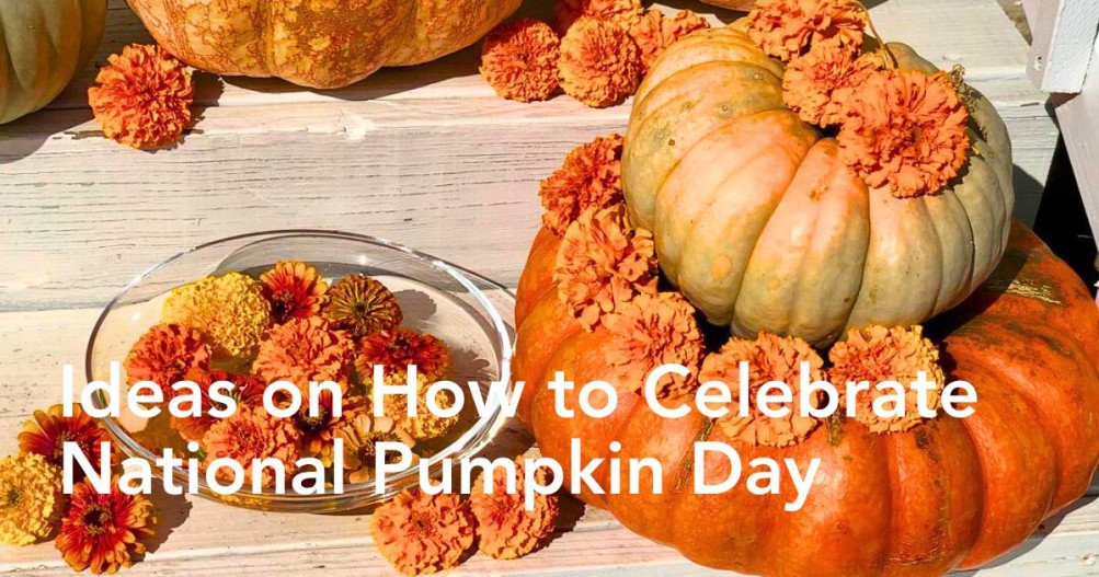 Honoring Autumn’s Star: National Pumpkin Day - October 26th