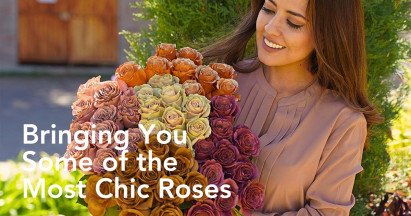 Jet Fresh Flower Growers and VIP Roses Partnership