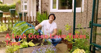 Accessible Gardening Ideas Tools Raised Beds and Help