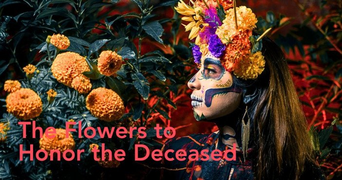 Flowers of the Dead in the Marigold Fields of Mexico's Puebla