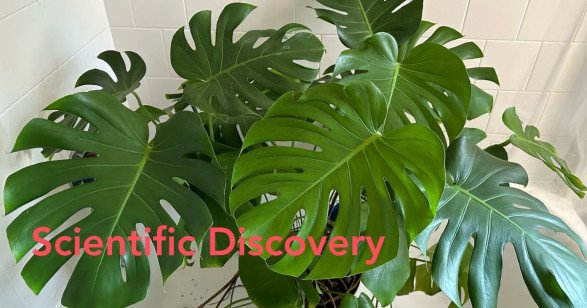 Plant Science Experiments for Students