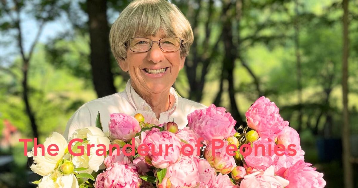 Guía de la flor peonía Plantación, cuidados y variedades