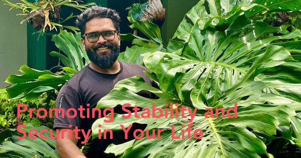 Chakra Healing: Plants for Root Chakra Balance