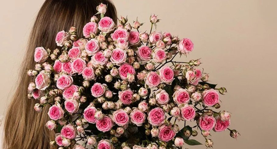 Fransen Roses - Grower featured on Thursd