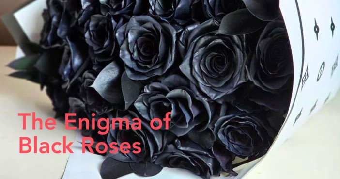 Do Natural Black Roses Exist? Revealing the Truth