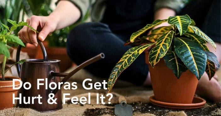 Do Plants Feel Pain Just Like Humans and Animals?