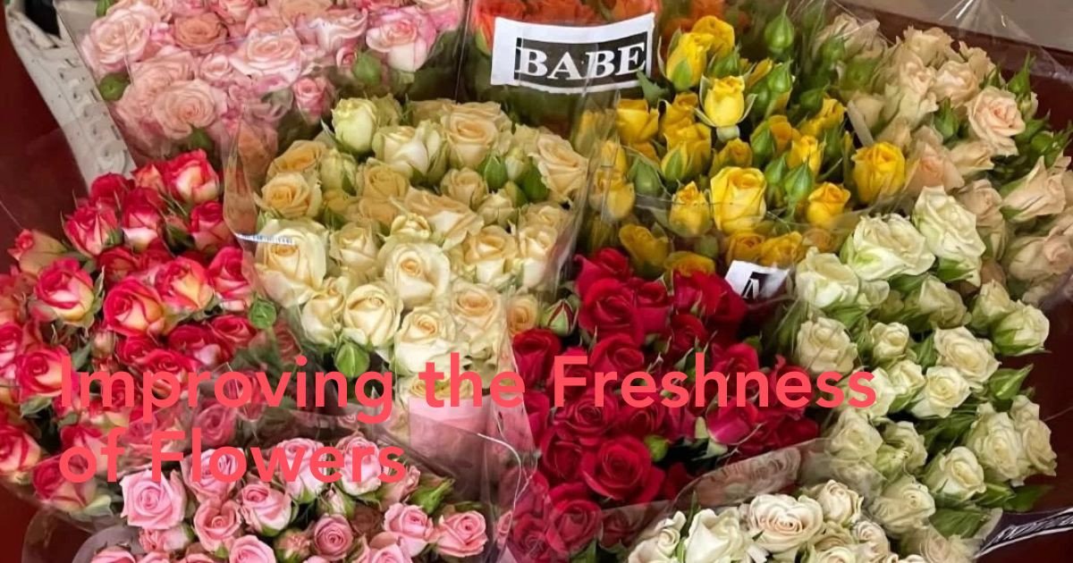 AI Transforms Logistics in Global Flower Supply Chains