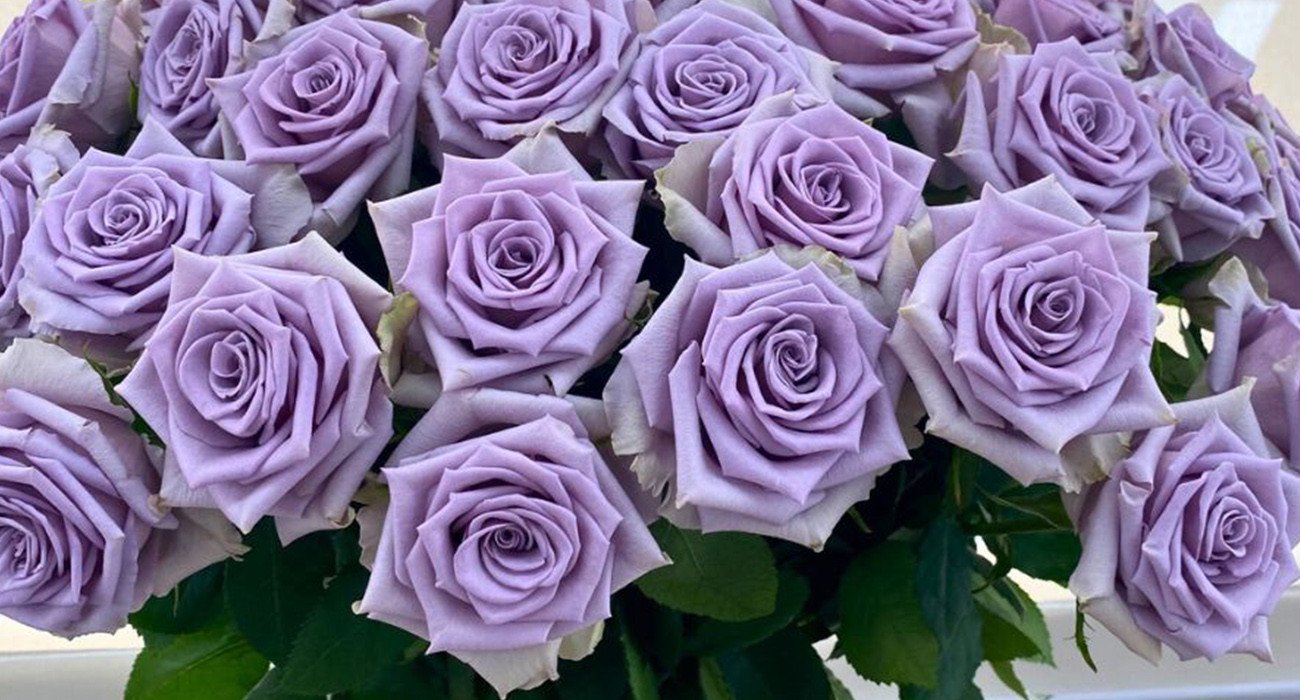 Rose Shocking Blue®