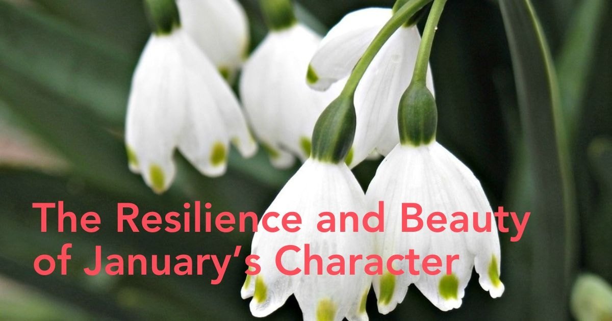 The January Birth Flower Duo - Snowdrop and Carnation