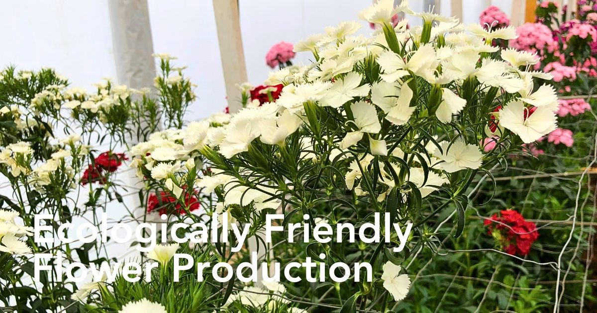 The Meaning of the Concept of Sustainability in Floriculture