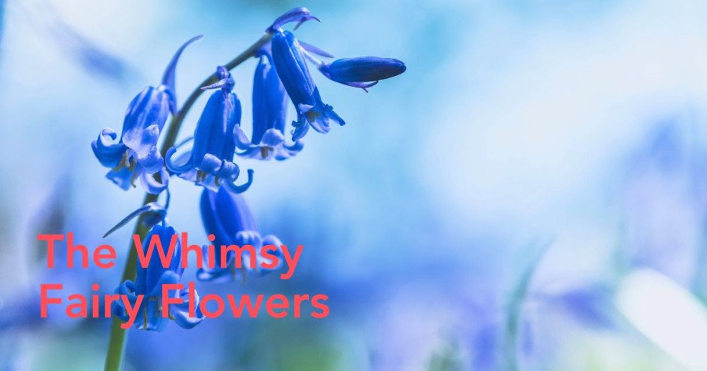 Bluebell Flower Meaning and the Story Behind This Flower