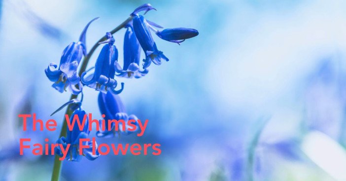 Bluebell Flower Meaning and the Story Behind This Flower