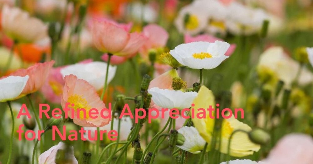 The Best Taurus Flower as per the Zodiac Sign