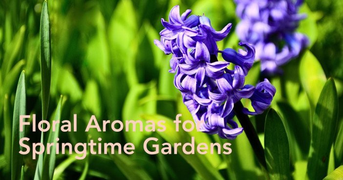 10 Sweet-Scented Spring Plants to Perfume Your Garden