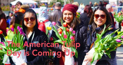 Thousands of Tulips to Illuminate Union Square for American Tulip Day