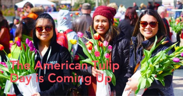 Thousands of Tulips to Illuminate Union Square for American Tulip Day