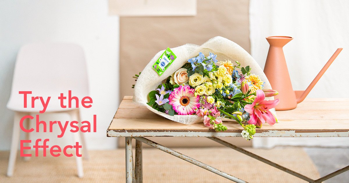 Chrysal Debuts Recyclable PP Sachets, Bio-Based Feed