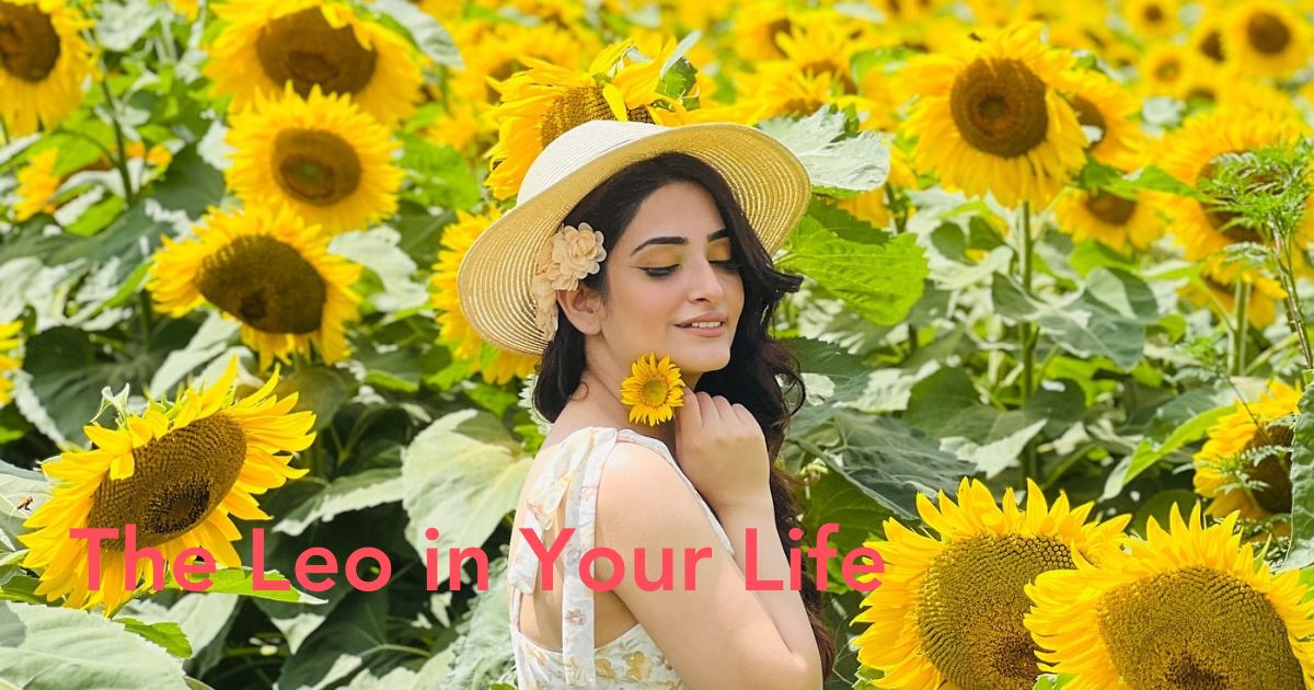 Leo Flower: Sunflowers & Marigolds for Bold, Fiery Spirits