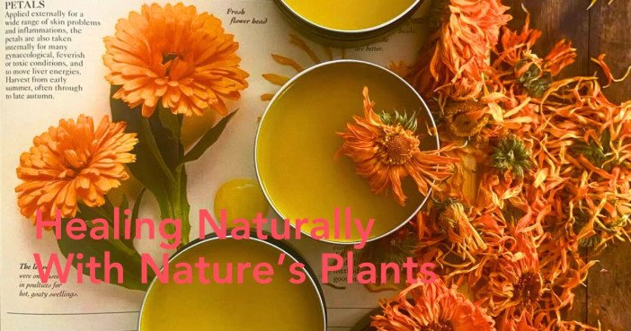 8 Expert-Approved Healing Plants for Home Remedies