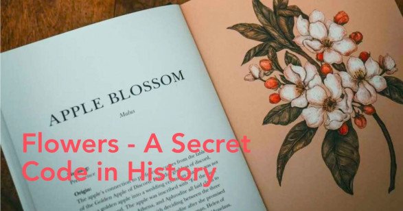 Floriography Guide to Flower Meanings and History