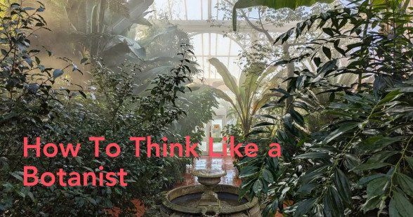 A Botanist's Guide to Effective Study Methods in Plant Science